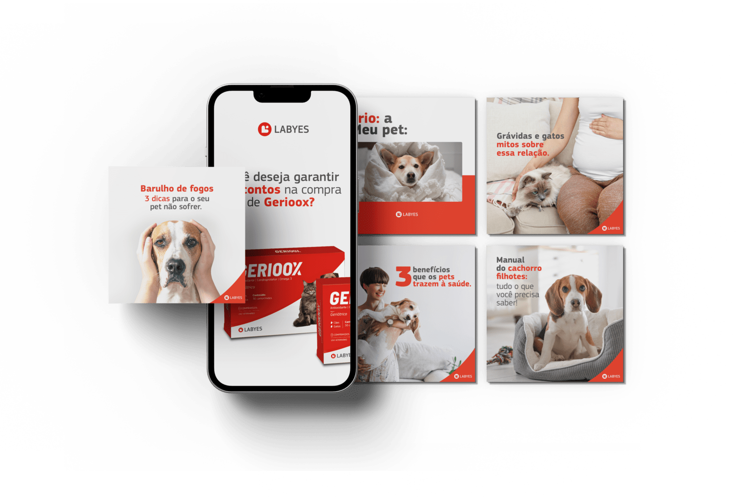 Labyes - Agência De Marketing E Publicidade - CMLO&CO